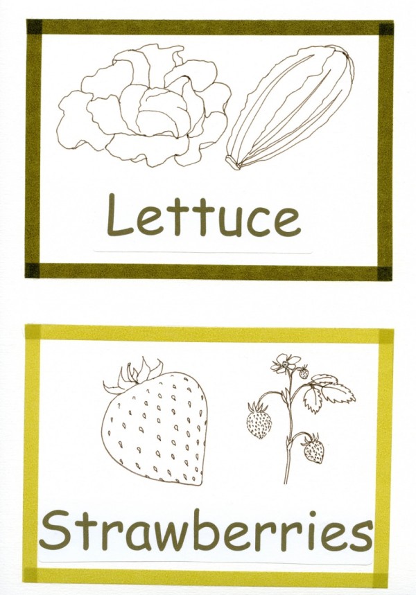 Make your own plant labels - Cassie Liversidge