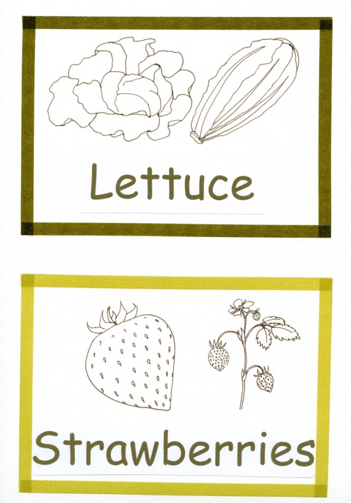 Make Your Own Plant Labels Cassie Liversidge